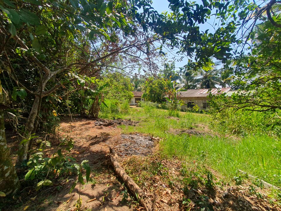 Bare Land – Use.lk