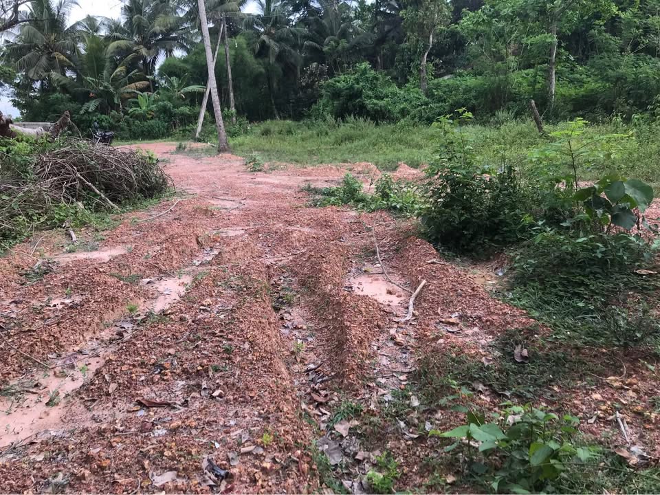 Bare Land – Use.lk